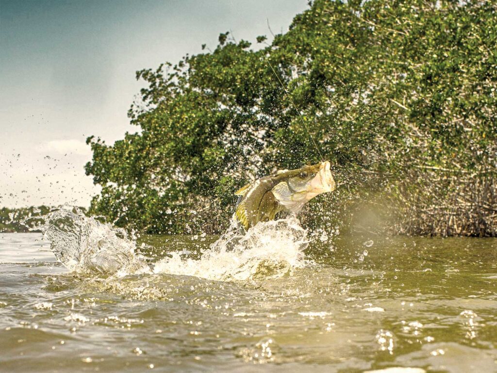 Fishing & Snorkeling – Belize Inland Tours